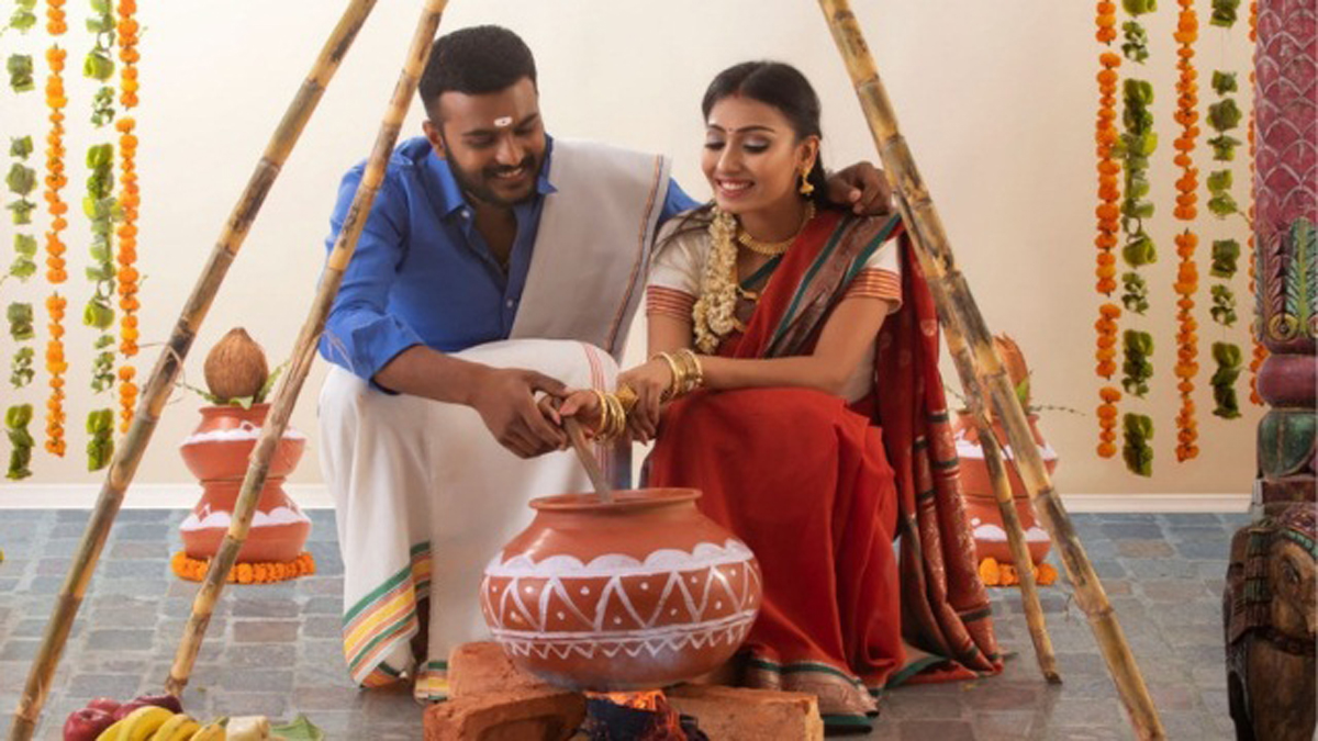 पोंगलची लगबग झाली सुरु, जाणून घ्या या सणाचे महत्त्व आणि साजरा करण्याची ...