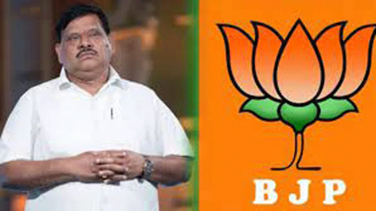 भाजपकडून लोकसभा, विधानसभा प्रमुखांची नावे जाहीर; सानप यांच्यावर नाशिकची ...