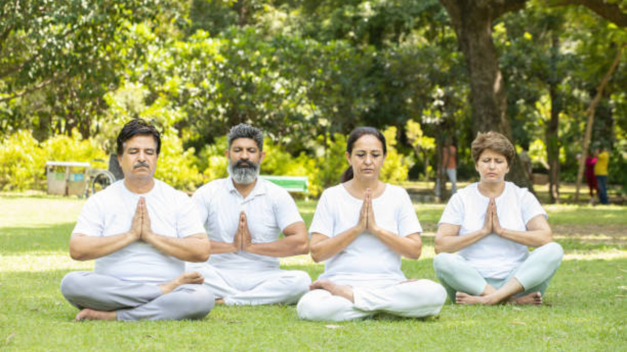 International Yoga Day 2024: 5000 वर्षांचा इतिहास, कोणी केली भारतात योगाची सुरूवात | Navarashtra