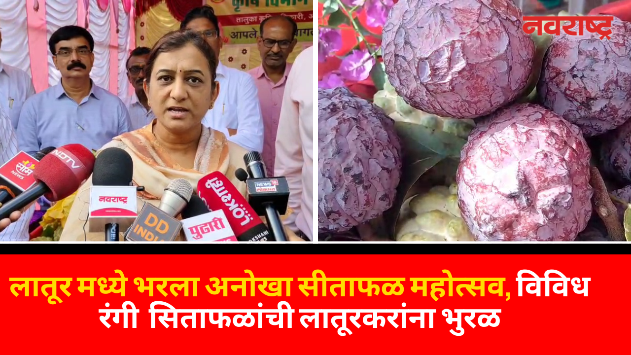 Latur News : लातूर मध्ये भरला अनोखा सीताफळ महोत्सव, विविध रंगी सिताफळांची लातूरकरांना भुरळ ...