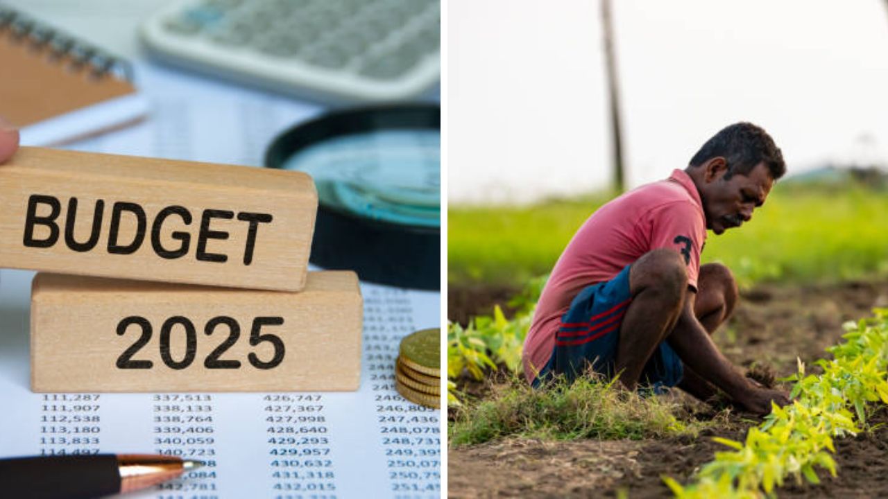 Budget 2025 Expectations: यंदाच्या बजेटमध्ये शेतकऱ्यांसाठी विशेष तरतूद ...