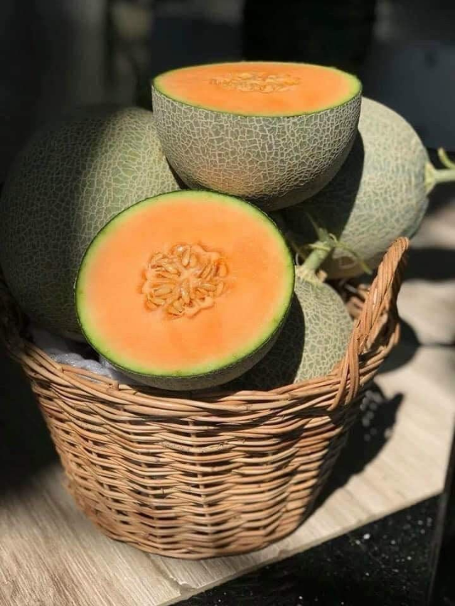 muskmelon मध्ये आढळते हे व्हिटामिन, स्किन आणि केसांना फायदेशीर ...