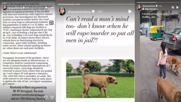 ”सर्व पुरुषांना तुरुंगात टाकले पाहिजे का?” अभिनेत्रीच्या वादग्रस्त ...